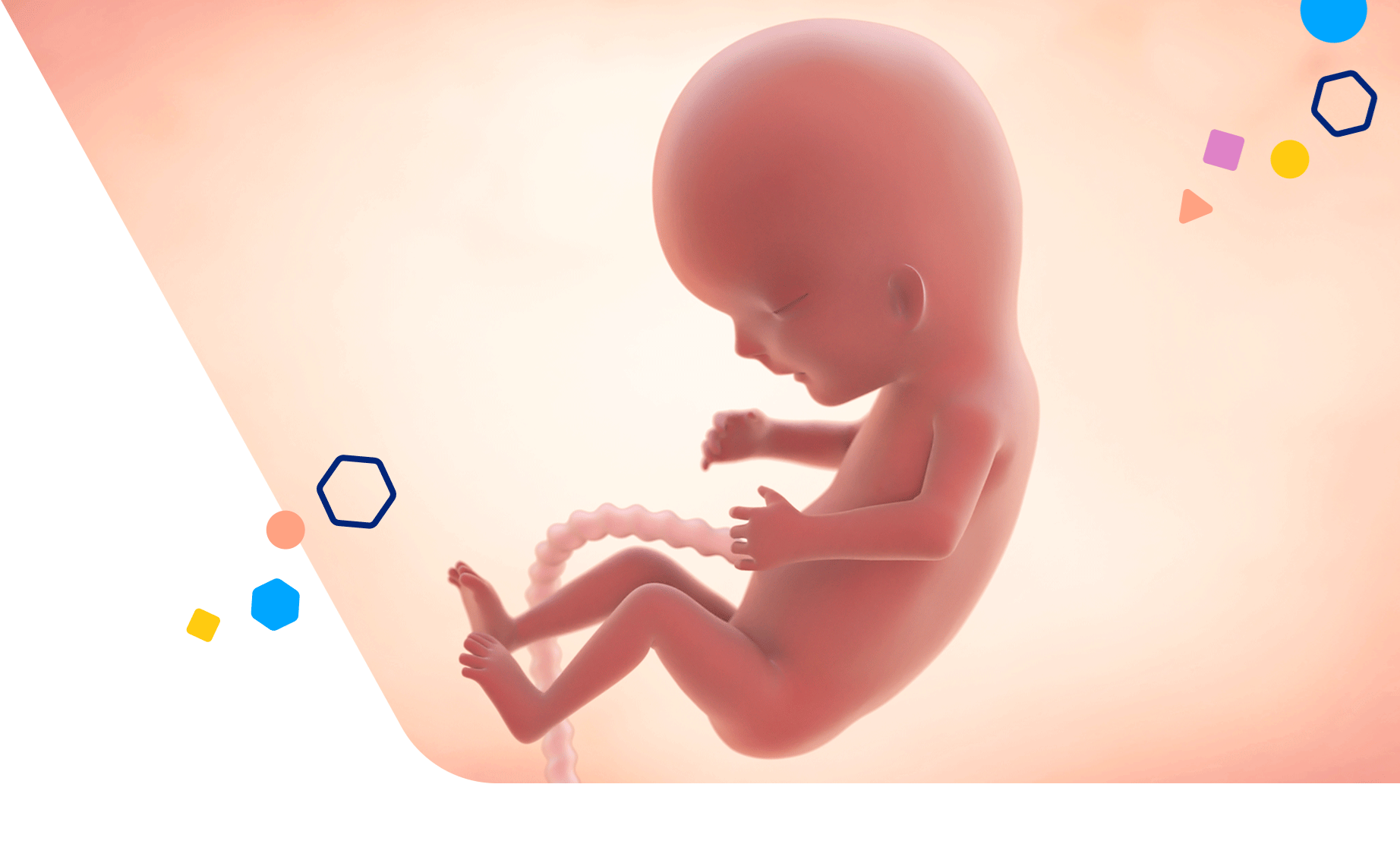 12 Weeks Pregnant Baby Size Symptoms Tips Enfamil